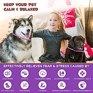 3 Pack Calming Collar for Dogs, Pheromone Collar for Dog Anxiety Relief, Adjustable Dogs Calm Collar Reduce Separation Anxiety Stress, Anti-Loose Dog Collar Fit Medium Large Puppy