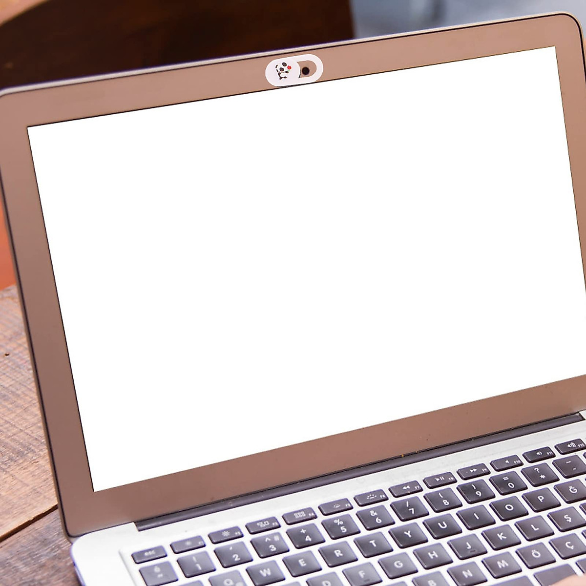 Sosoport 6pcs Cover Sliding Webcam Cover Slide Lens Cover Laptop Webcam Cap Protector Cover Laptop Hide Cover Computer Animal Abs