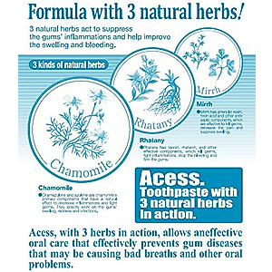 Access Herbal Extract Toothpaste, Mint, 4.2 Ounce