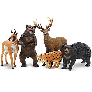 Toymany 12PCS North American Forest Animal Figurines, Realistic Jungle Animal Set Includes Raccoon,Lynx,Wolf,Bear,Eagle, Educational Toy Cake Toppers Christmas Birthday Gift for Kids Toddlers