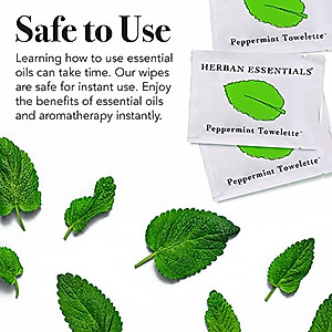 Herban Essentials Travel Body Wipes - Essential Oil Wipes for Hands, Travel Face Wipes - Natural Hand Wipes, Moist Towelettes Individually Wrapped Body Wipes for Adults - Asst. 20 Count