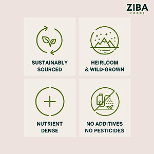 Ziba Foods Trail Mix - Sweet Apricot Kernels, Mulberries, Raisins, Almonds & Pistachios - Non-GMO, Vegan, Whole 30 Friendly & Paleo - High in Fiber, Iron & Antioxidants - Sweet & Savory, Pack of 6