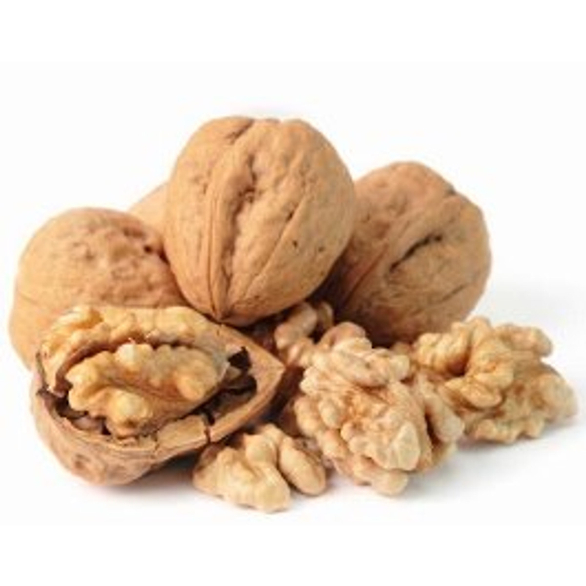 In Shell Jumbo Walnuts - 20 lb.