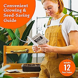 (12) Variety Pack Herb Garden Seeds | Basil, Cilantro, Parsley & More | ~4,000 Non GMO Heirloom Seeds | Survival Food for Survival Kits Gardening Gifts & Emergency Supplies by Open Seed Vault