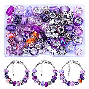 VICTLOV 60 Pieces European Large Hole Spacer Beads Charm Fairy Wands Beads Rhinestone Lampwork Beads Supplies for Bracelets Jewelry Making (Purple)