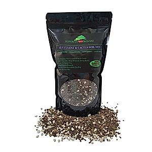 Succulent & Cactus Soil Mix - Premium Pre-Mixed Fast Draining Blend (1.25 Dry Quarts)
