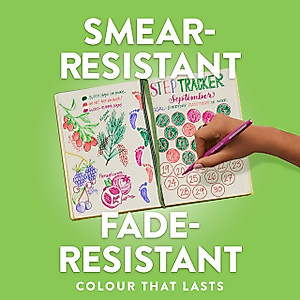 Paper Mate Flair Pen, 0.7 mm Medium Tip, Black, Box of 12