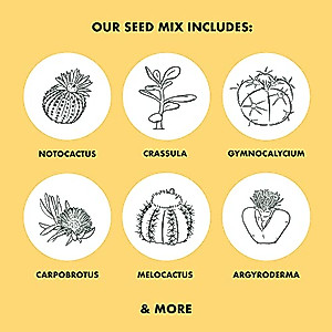 Cactus Succulent Seed Starter Kit - Indoor Garden Grow Kits, Seeds for Planting Mini Cactus Succulent Plants, Plant Markers, Soil, Pots, Wood Box - Gardening Gifts, Terrarium, Cacti Succulents Decor