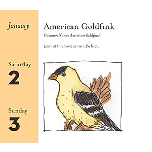 Dumb Birds of North America 2021 Daily Calendar: (One Page a Day Calendar of Funny Bird Facts, Humor Daily Calendar about Birds with Bird Artwork)
