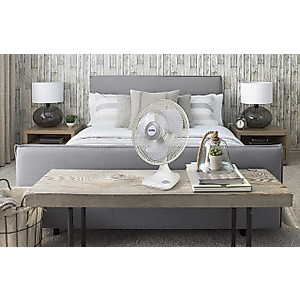 Air King 9106 16-Inch 3-Speed Oscillating Table Fan