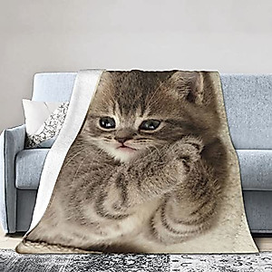 Cute Cat Blanket Plush Warm Throw Blanket Soft Comfort for Sofa Chair Bed Office Travelling Camping 50"x60"