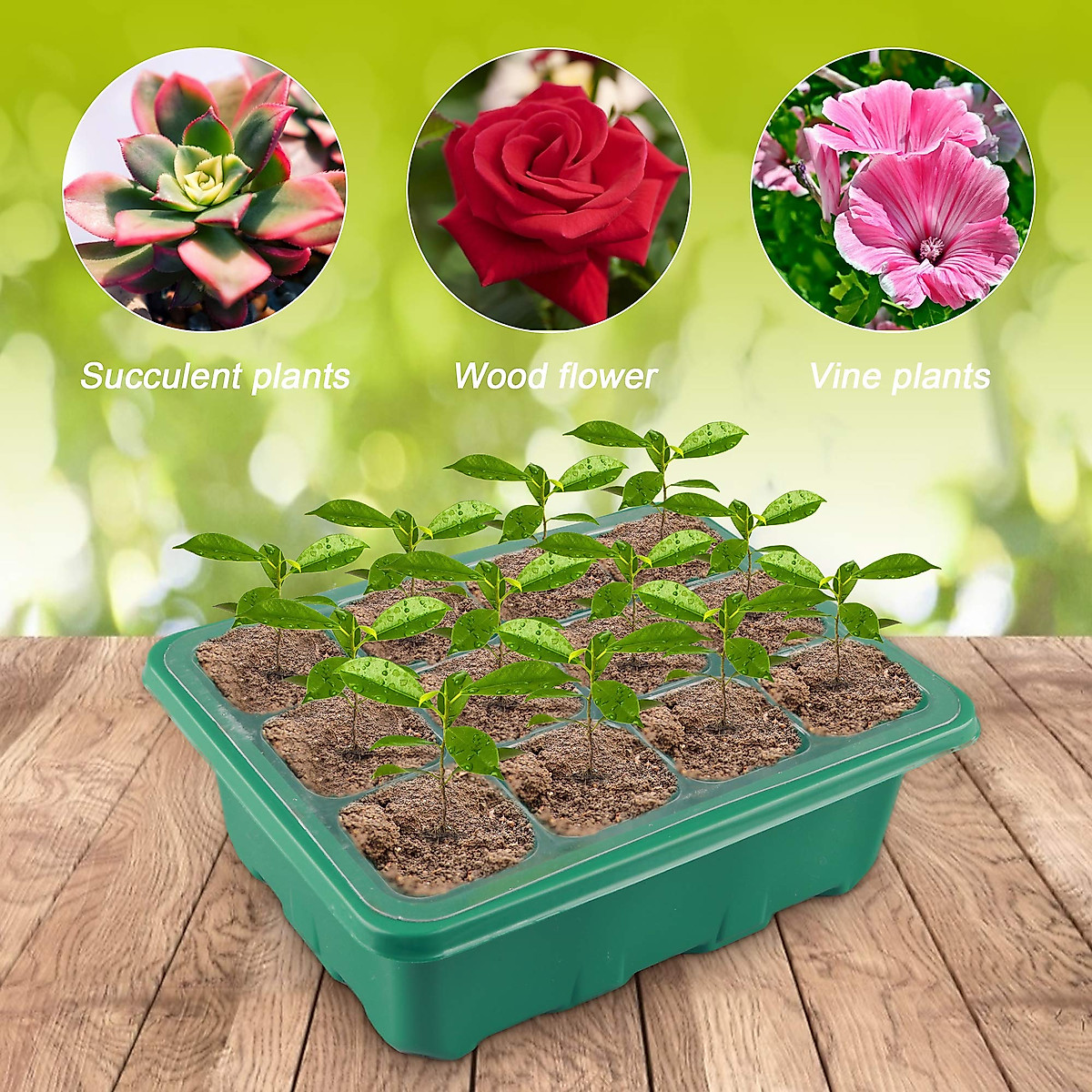 UNCLE.XIA 5 Pack Seed Trays Seedling Starter Tray Humidity Adjustable Plant Starting Kit with Dome and Base Greenhouse Grow Set Mini Propagator for Seeds Growing (60 Cells)