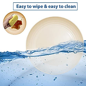 DAPIPIK 8 Pieces 10 Inch Wheat Straw Plates, Unbreakable Dinner Plates, Lightweight Straw Plates, Dishwasher & Microwave Safe, Perfect for Dinner Dishes, Healthy for Kids & Adult