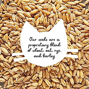 The Cat Ladies Organic Cat Grass Growing kit with Organic Seed Mix, Soil and Ceramic Planter with Bamboo Tray. Natural Hairball Control and Remedy for Cats