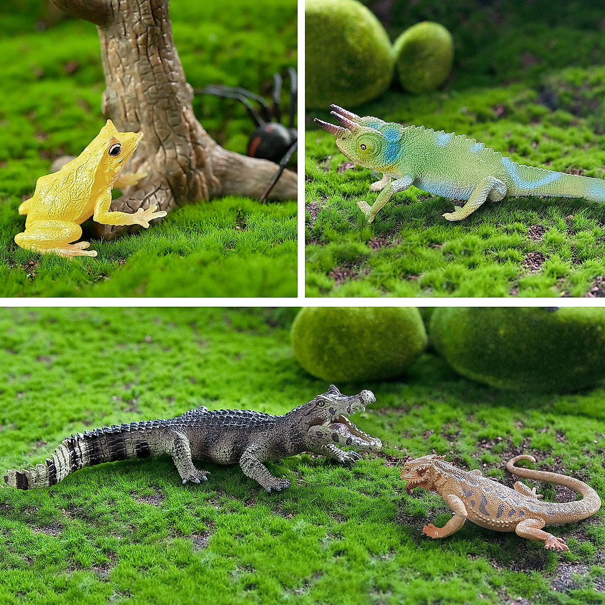 Toymany Reptile Animal Figurine Toys Set, 12 PCS Desert Amphibians Animal Figures with Komodo Dragon Lizard Snake Chameleon Rainforest Cold Blooded Animals Figures Party Favor for Kids