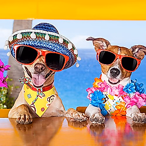 Sublimation Pet Bandana Heat Transfer Washable Triangle Dog Scarf Sublimation Blank DIY Triangle Dog Bib Heat Press Pet Triangle Bibs Kerchief Accessories for Dogs Puppy Cats (30 Pieces)