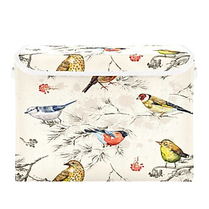 Burbuja Watercolor Retro Bird Storage Box with Lid & Handles, Collapsible Large Storage Bin for Shelves Closet Bedroom Office Organizing