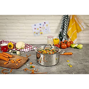 KUHN RIKON Allround 2-Piece Casserole Pot and Saucepan Set, Stainless Steel