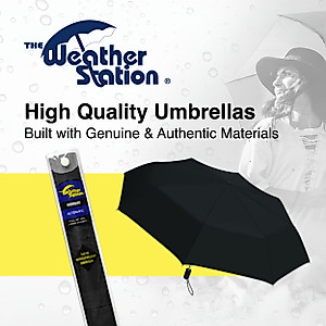 Weather Station Automatic Rain Umbrella, Windproof, Lightweight, and Packable for Travel, Full 42 Inch Arc, Black
