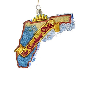 Kurt Adler 5-Inch Double Sided Florida Cityscape Glass Ornament