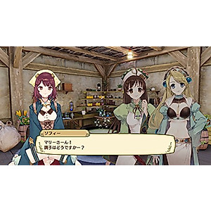 Nelke & The Legendary Alchemists: Ateliers of The New World - Nintendo Switch