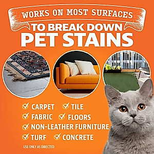 ANGRY ORANGE Cat Urine Odor Eliminator & Stain Remover - Stain Cleaner for Pets, Cat-friendly Fresh Scent Urine Deodorizing Spray and Enzyme Cleaner for Home Use