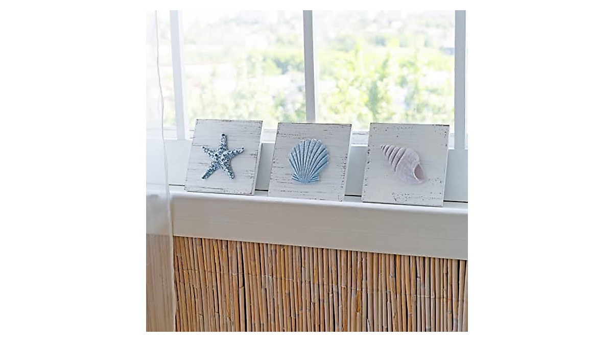 Tide and Tales 3D Seashell Wall Art - Coastal Decor Set of 3