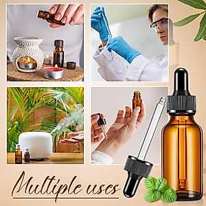 Lallisa 100 Pack Essential Oil Dropper Bottle 30 ml (1 oz) Glass Dropper Bottles with Eye Dropper Dispenser Dropping Bottle with 5 Funnels 5 Pipettes 3ml 100 Labels for Essential Oil Perfume (Amber)