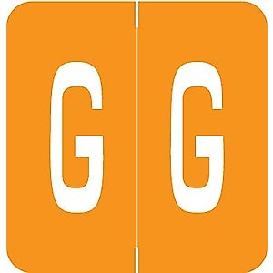 AMZfiling Alpha Labels on 3-Ring Binder Sheets- Letter G, Orange, GBS/VRE Compatible (Polylaminated, 200/Package)