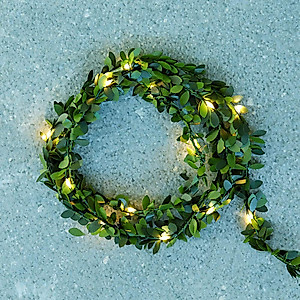 ER CHEN 165ft Led String Lights, 500 Led Starry Lights on 50M Green Copper Wire String Lights Power Adapter + Remote Control(Warm White)