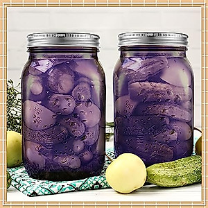 Tessco 12 Pieces 16 oz Colored Mason Jars with Lids Glass Regular Mouth Pint Canning Containers Kitchen Canisters for Food Storage, DIY Crafts, NOT Allowed Dishwasher (Purple)