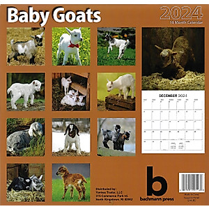 2024 Baby Goats Full Size Wall Calendar for Planning, Scheduling, and Organizing