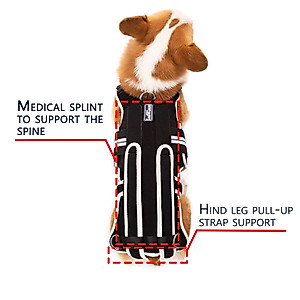 LufeLux Back Brace for Dogs with IVDD, Arthritis, Back Pain, Surgical Recovery and Rehabilitation, Dachshund Back Pain Relief, IVDD Harness(Large)