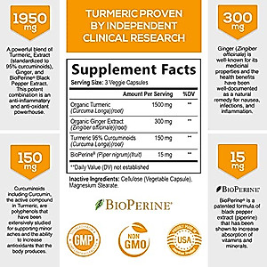 Turmeric Curcumin with BioPerine & Ginger 95% Standardized Curcuminoids 1950mg - Black Pepper for Max Absorption, Natural Joint Support, Nature's Tumeric Extract Supplement Non-GMO - 120 Capsules