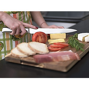 Ross Henery Professional 10 Piece Premium Stainless Steel Chef's Knife Set/Kitchen Knives in Case