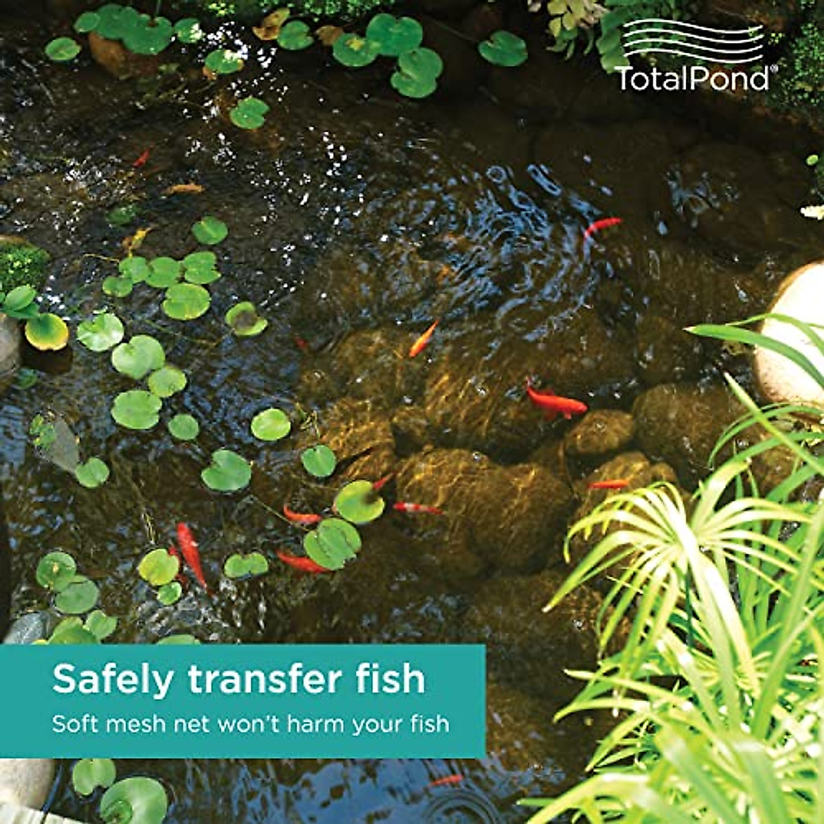 TotalPond Skimmer Fish Net