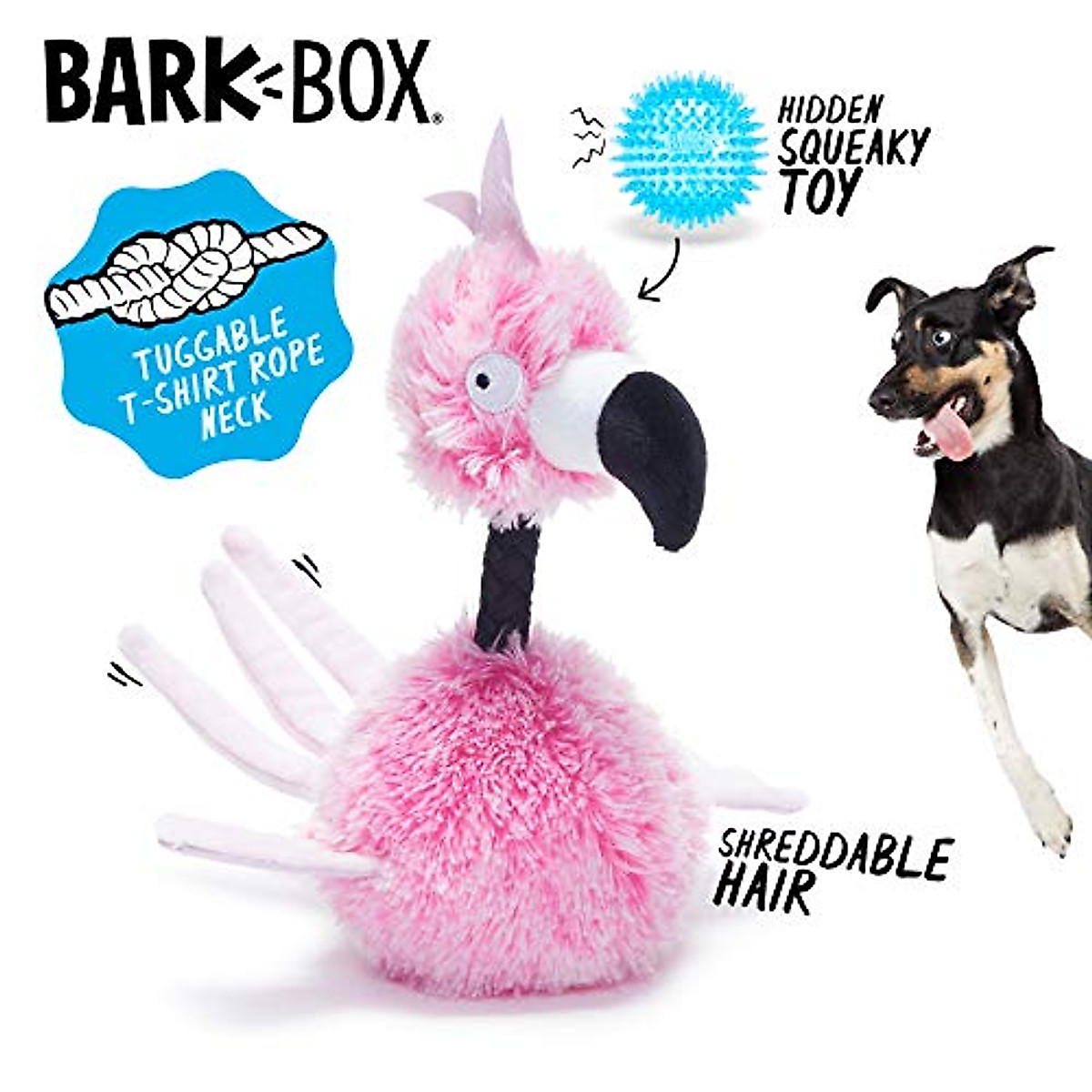 Barkbox Dog Rope Toys - Durable Tug Toys for Chewers, Puppy Teething, and Small, Medium, and Large Dogs | Bert of Paradise