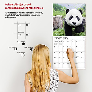 2025 Wall Calendar,Calendar 2025, January 2025 - December 2025, Wall Calendar Baby Animals, 12" x 24" Opened,Full Page Months Thick & Sturdy Paper for Calendar Organizing & Planning