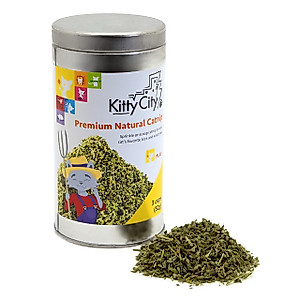 Kitty City Cat Premium Natural Catnip Tin, Premium Catnip Bag and 3-Pack, Catnip with Silvervine, Catnip Spray
