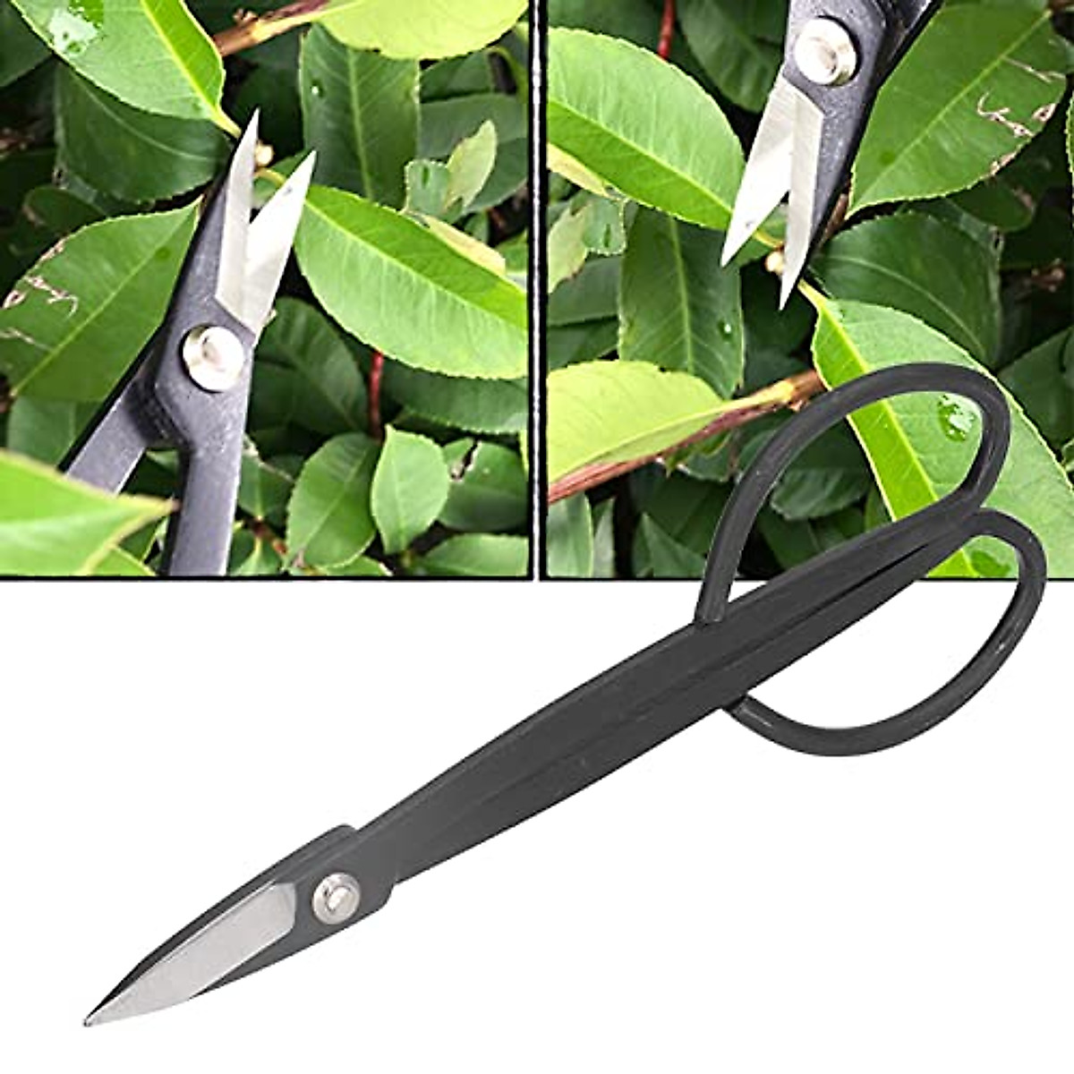 7.87In Bonsai Scissors Steel Rust Resistance Plant Branch Shears Pruning Scissors Bonsai Tools for Garden Flower Arrangement