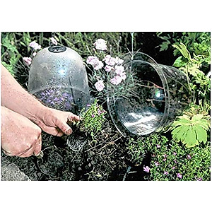 KiaoTime Pack of 10 Reuseable 10" Plastic Greenhouse Garden Bell Cover Germination Cover Frost Guard Freeze Protection Dome with Bonus 30 Metal Stakes+10 Tags