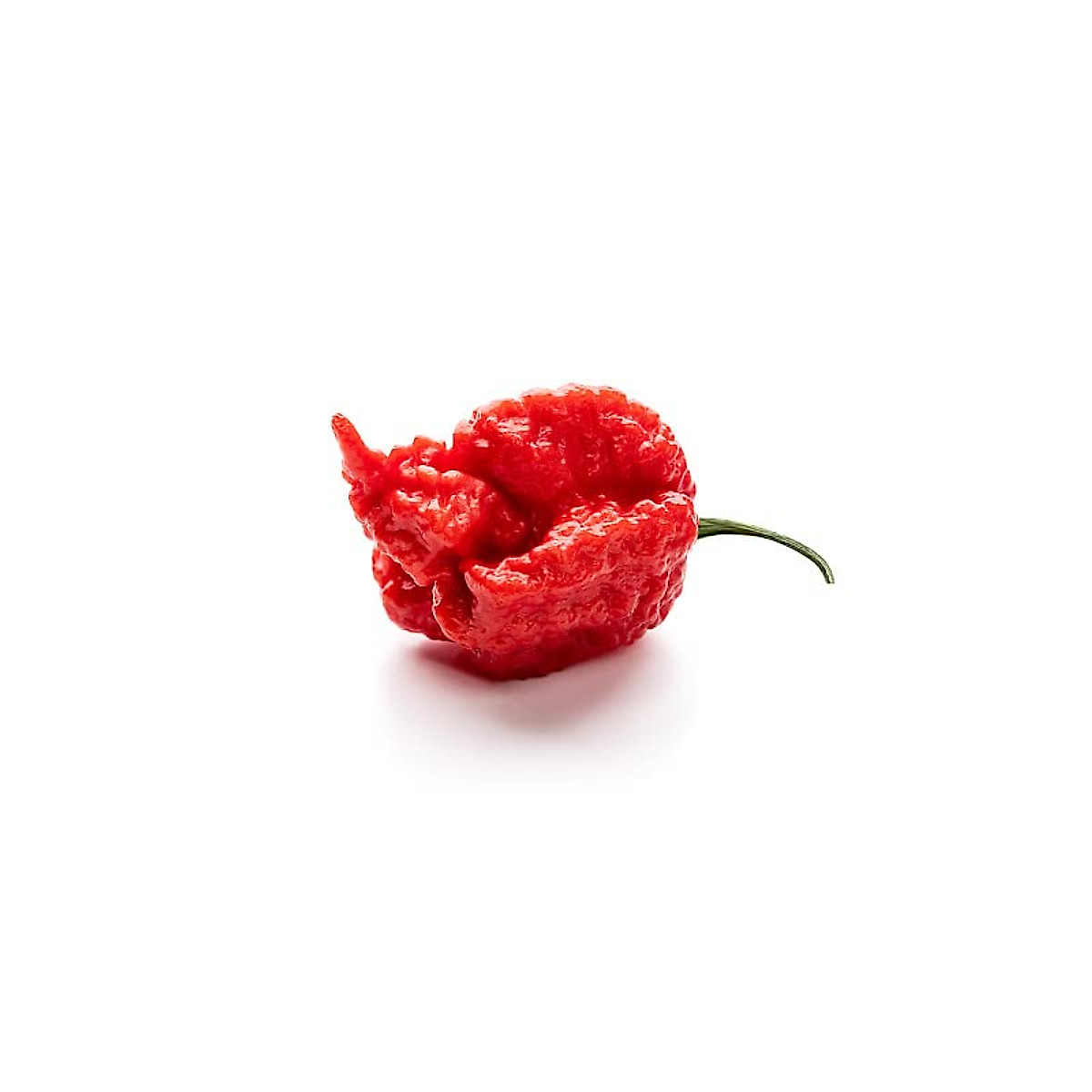 Bobby Courtyard Carolina Reaper Seeds | 200 Carolina Reaper Seeds for Planting | Non GMO Hottest Pepper Seeds