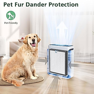 Vital 100S Replacement Filter Compatible with LEVOIT Vital 100S Air Purifier, 3-in-1 H13 Grade True HEPA and High-Efficiency Activated Carbon Filter for Vital 100S-P, Vital 100S-RF, White, 2 Pack