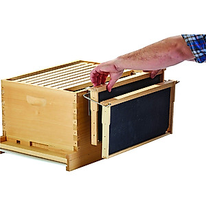 Little Giant® Metal Bee Frame Holder | Attachable Beehive Frame Rest for Beekeeping | Hive Rest | Hive Frame Holder | Beekeeping Supplies