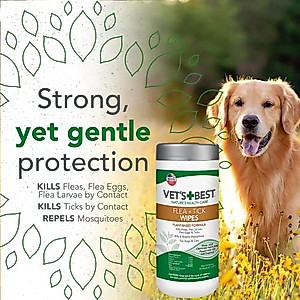 Vet's Best Flea and Tick Wipes for Dogs and Cats - Flea Treatment for Cats and Dogs - Plant-Based Formula - Certified Natural Oils - 50 Count