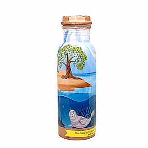 EcoBottles – 100% Pure Copper Water Bottles | Easy-To-Use and Carry, Fancy Prints | Non-Insulated Bottles with Health Benefits and Emphasizing on Social Causes (Skyblue)