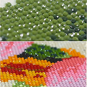 Diamond Painting Kits for Adults Flower Diamond Art Kits for Kids Beginner DIY 5D Full Drill Crystal Rhinestone Arts and Crafts Gem Art Painting with Diamonds Dots Home Wall Decor 11.8x15.7inch