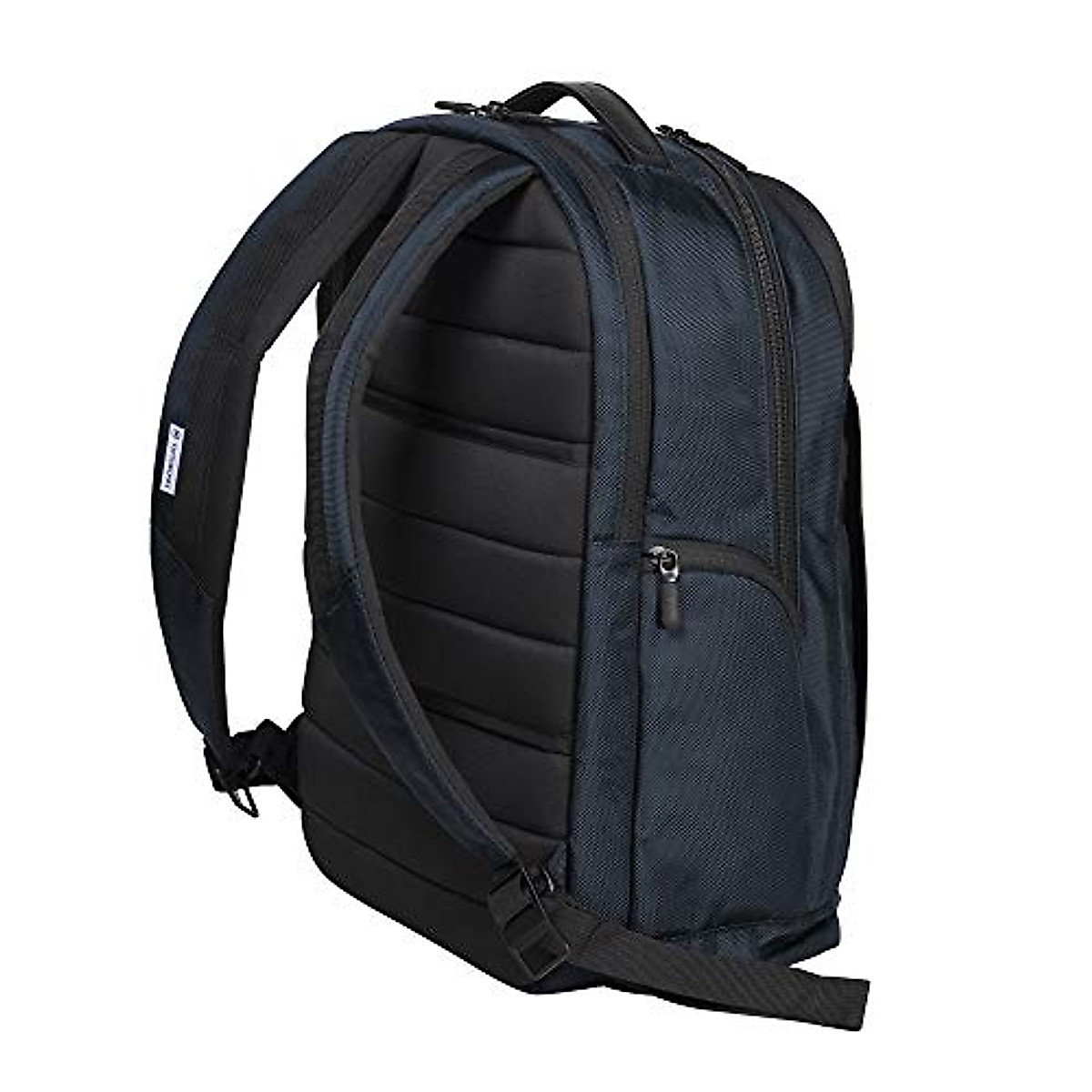 Victorinox Altmont Professional Essential Laptop Backpack Blue