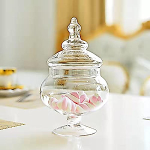 Livejun Glass Apothecary Jars Clear candy Buffet Display Small Elegant Storage Jars Decorative cookies Storage Clear Glass Canisters for Kitchen Wedding Party Set of 2