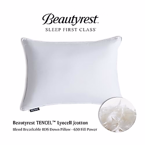 Beautyrest BT-DP-35 Tencel/Cotton Blend Cover Hypoallergenic White Down Pillow, 650 Fill Power, Jumbo